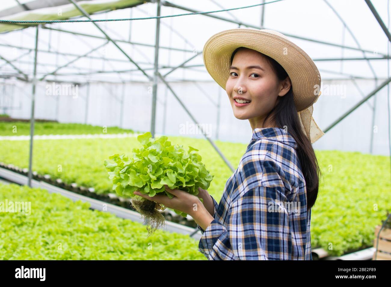 Beauty asian hi-res stock photography and images - Alamy