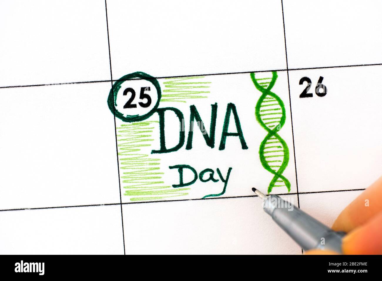 Woman fingers with pen writing reminder DNA Day in calendar. April 25 ...