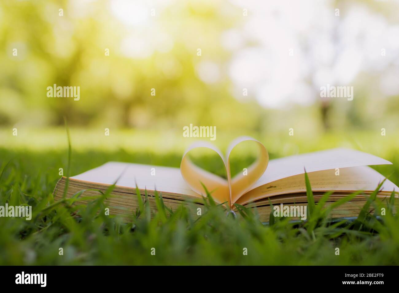 Symbols of wisdom and knowledge hi-res stock photography and images - Alamy