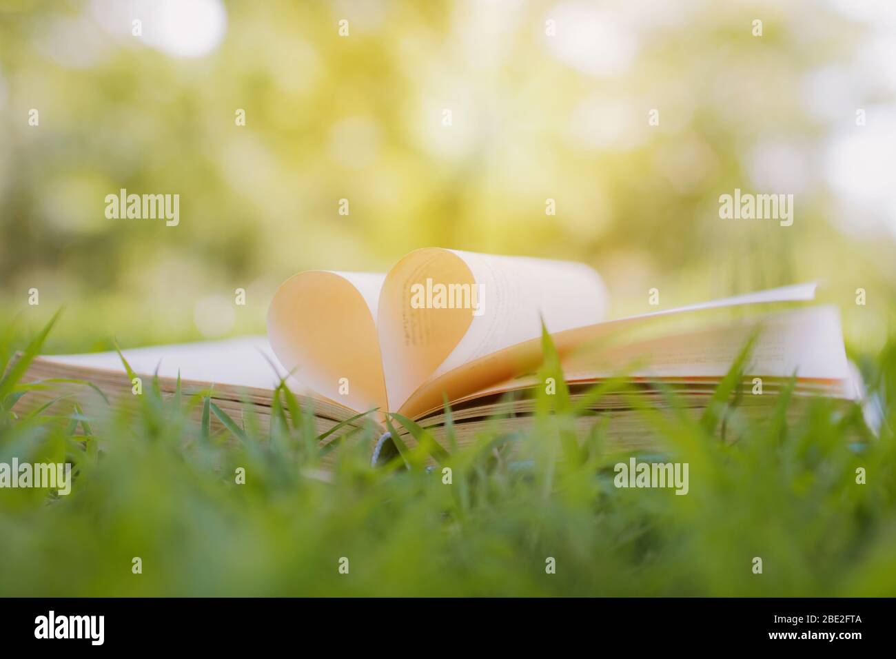 Symbols of wisdom and knowledge hi-res stock photography and images - Alamy