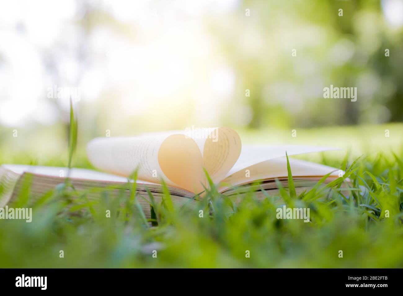 Open book heart pages flower hi-res stock photography and images - Alamy