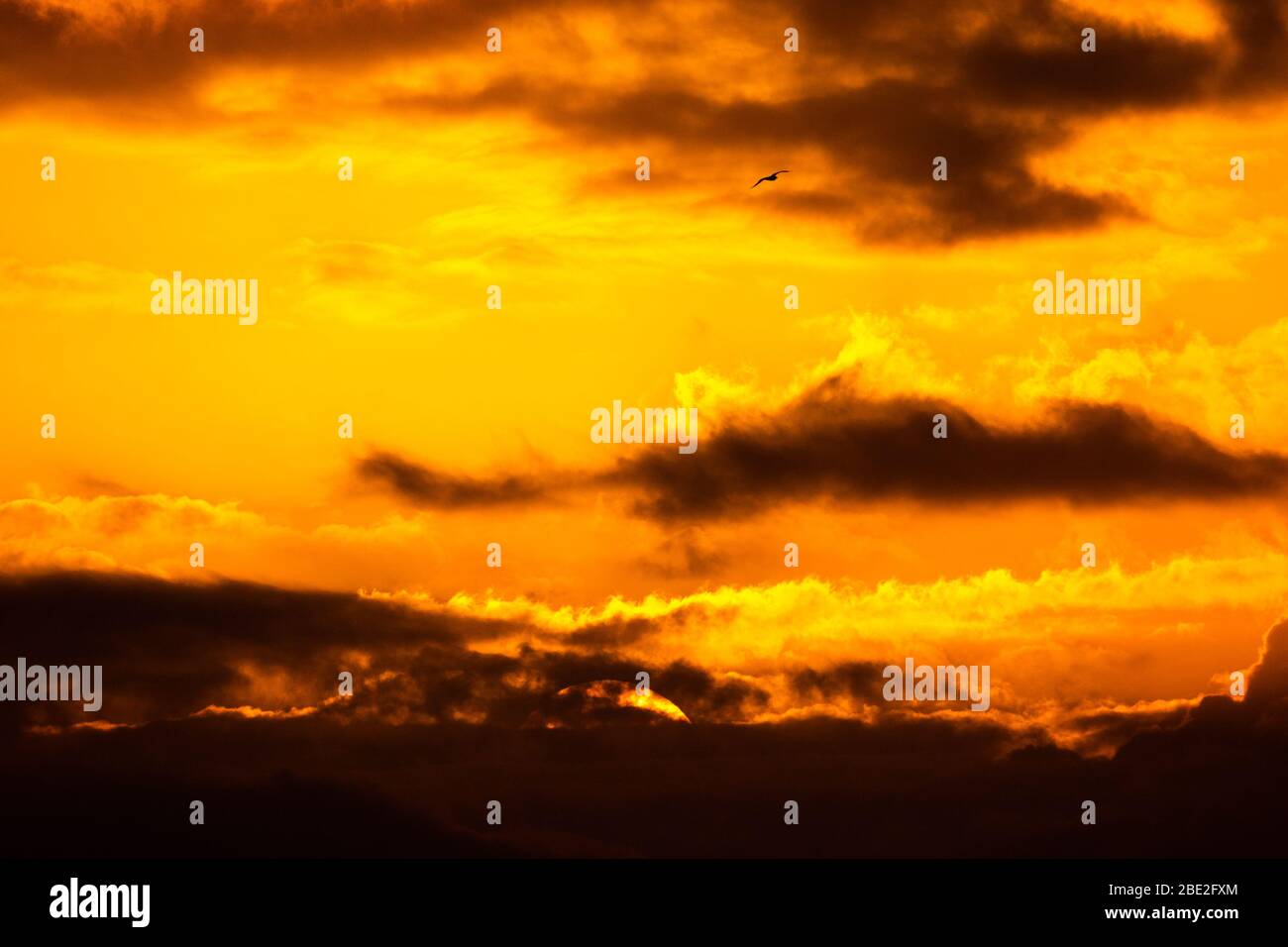 Cloudy sky with golden sunset hi-res stock photography and images - Alamy