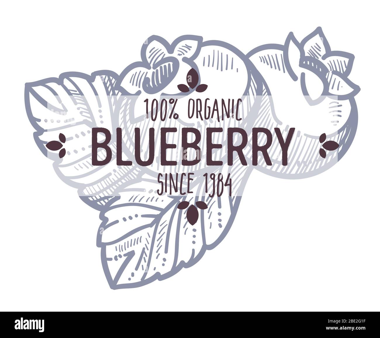 Blueberry organic food and ingredients sketch label vector Stock Vector ...
