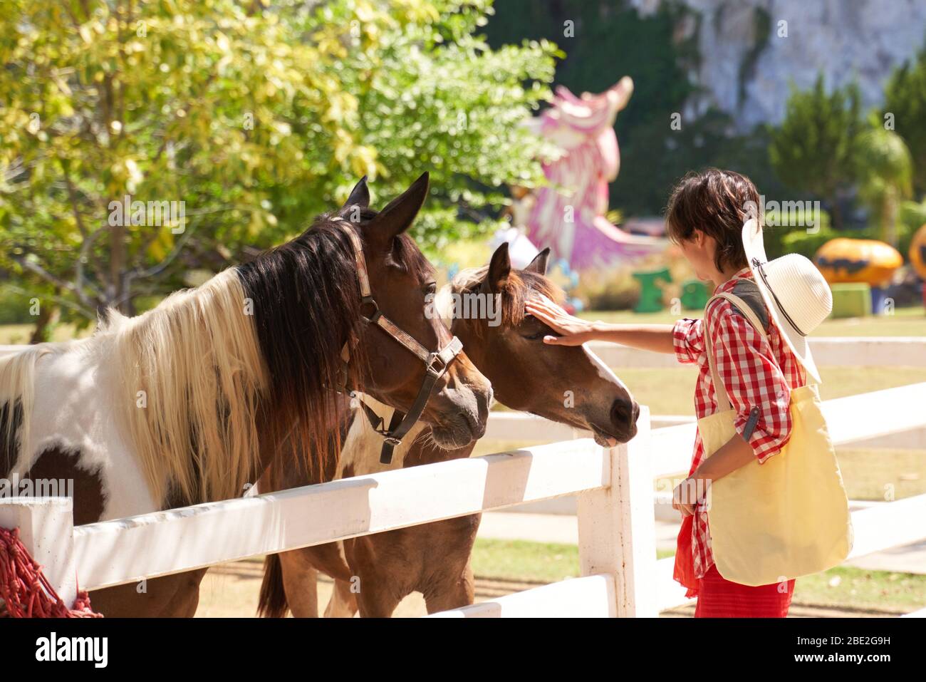 Girl feeds grass animals in zoo through fence tree Stock Photo - Alamy