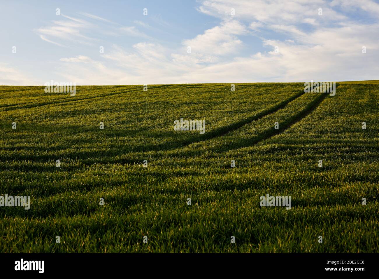 Grass Hill Sunset