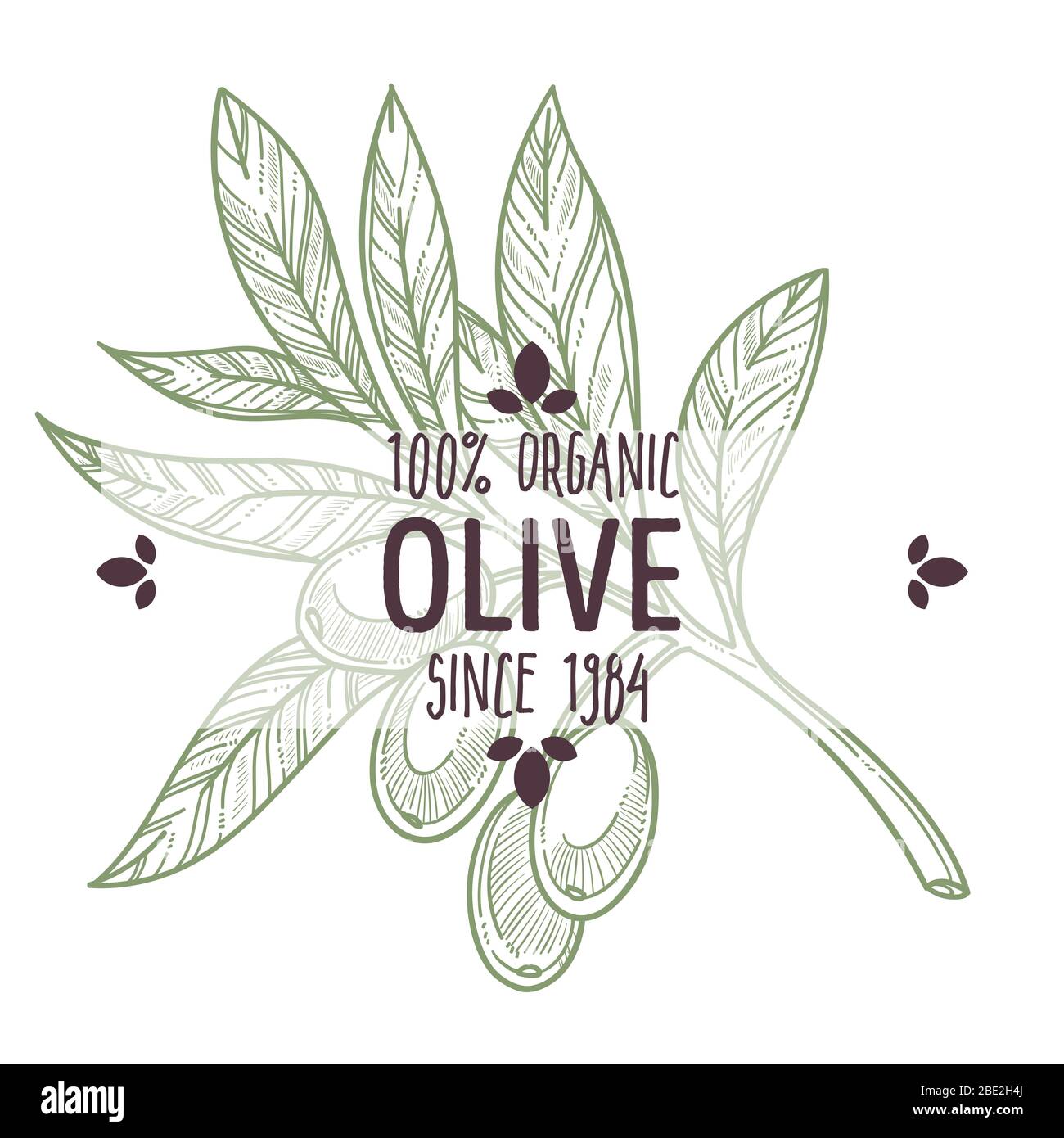 Olive plant emblem, organic ingredients food label sketch Stock Vector ...
