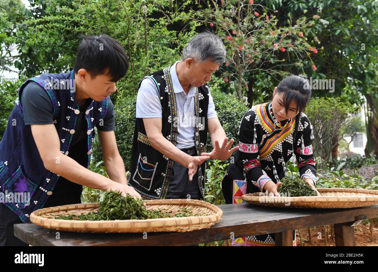(200411) -- NING'ER, April 11, 2020 (Xinhua) -- Li Xingchang (C), an ...