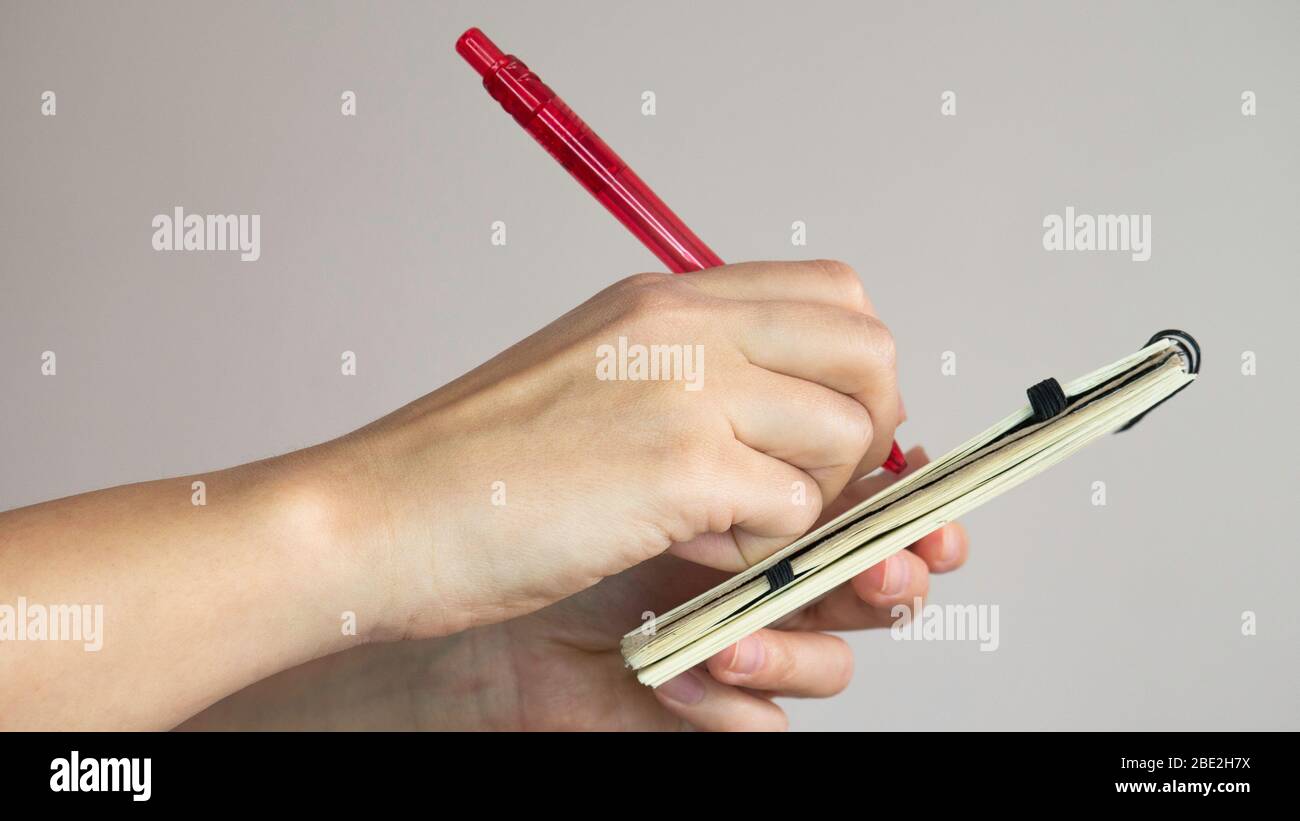Female hands taking notes in a small notebook with a red pen Stock ...