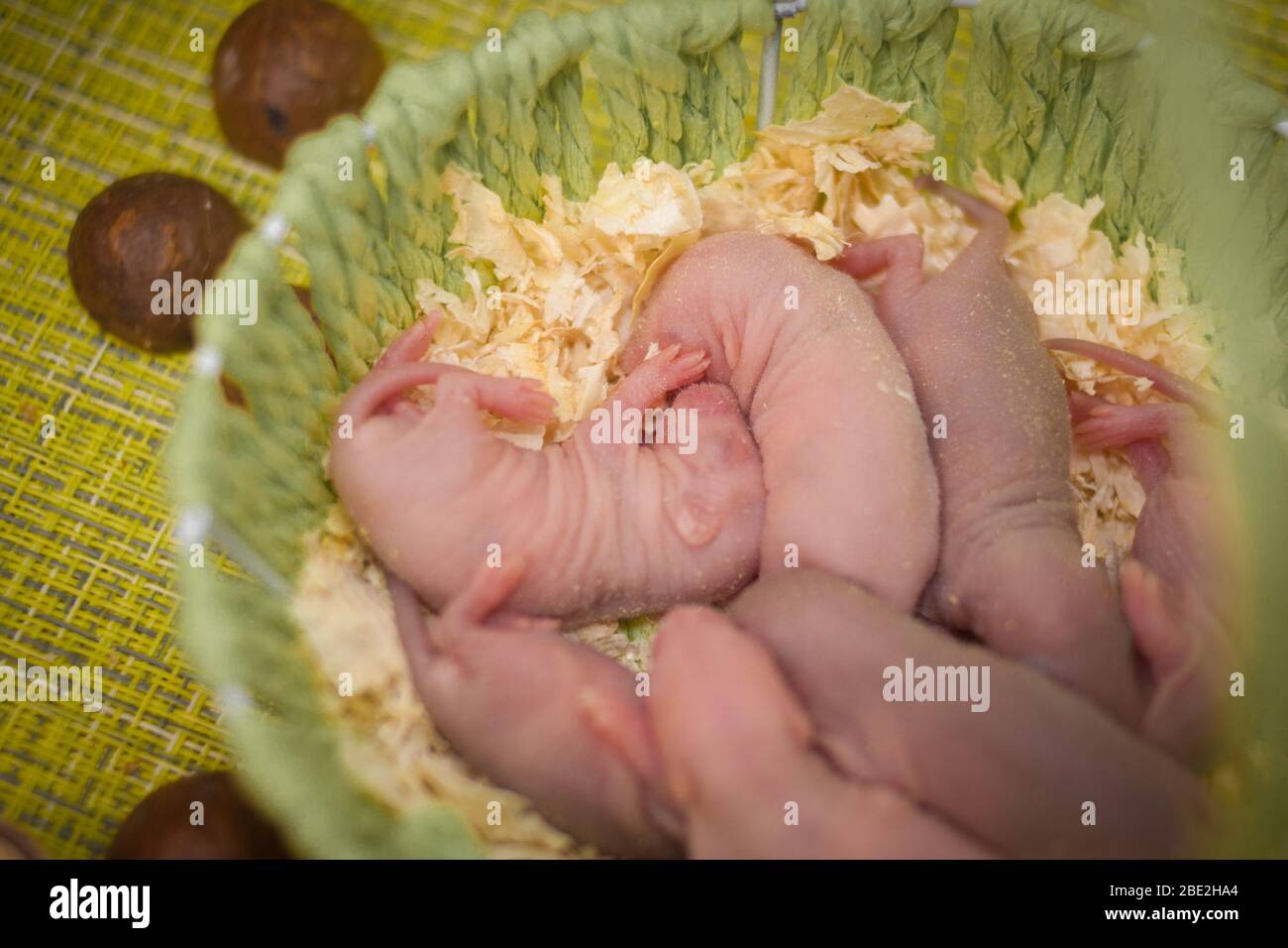 Lull soothe hi-res stock photography and images - Alamy