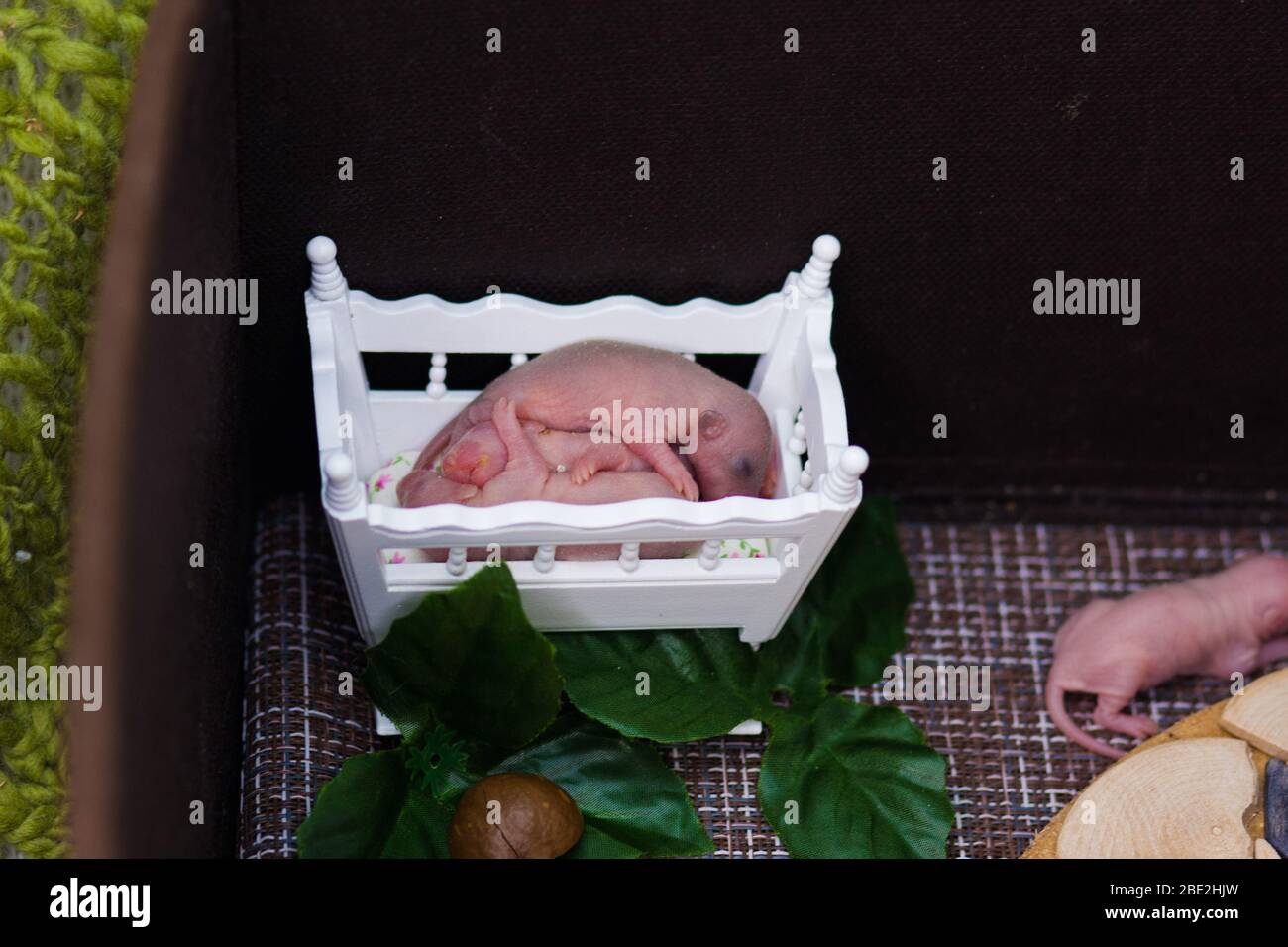 Lull soothe hi-res stock photography and images - Alamy