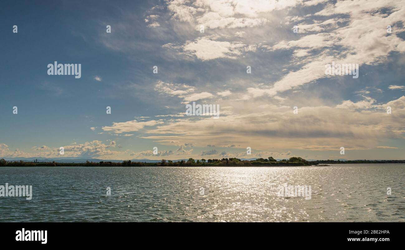 nature scenarios inside the Grado lagoon with plant reflections in ...