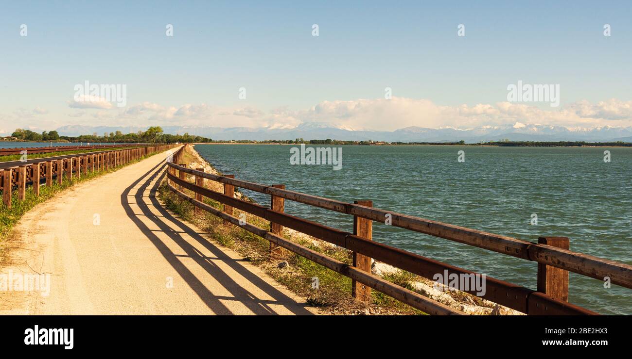 nature scenarios inside the Grado lagoon with plant reflections in ...