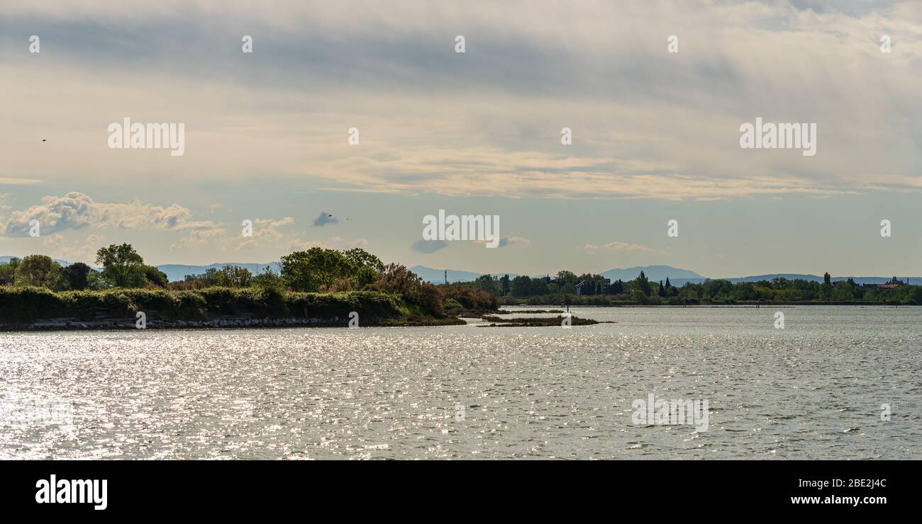 nature scenarios inside the Grado lagoon with plant reflections in ...