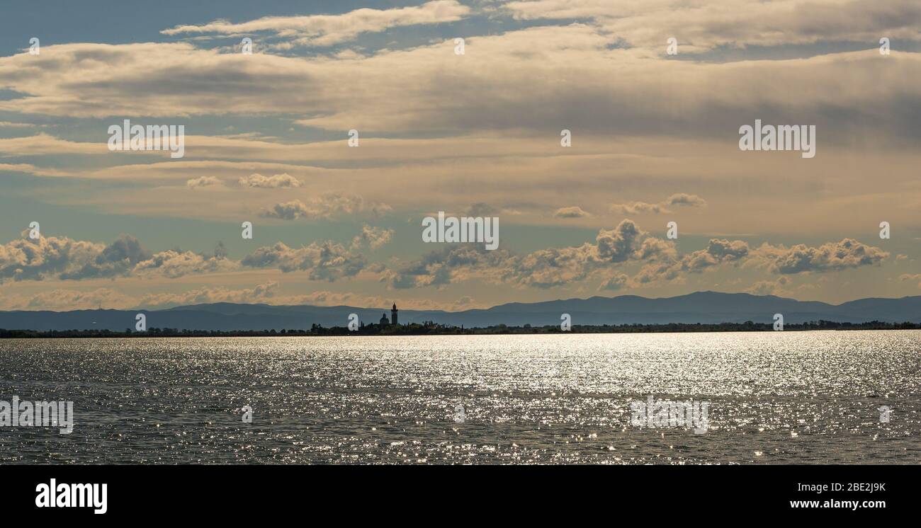 nature scenarios inside the Grado lagoon with plant reflections in ...