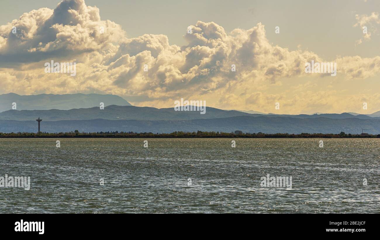 nature scenarios inside the Grado lagoon with plant reflections in ...