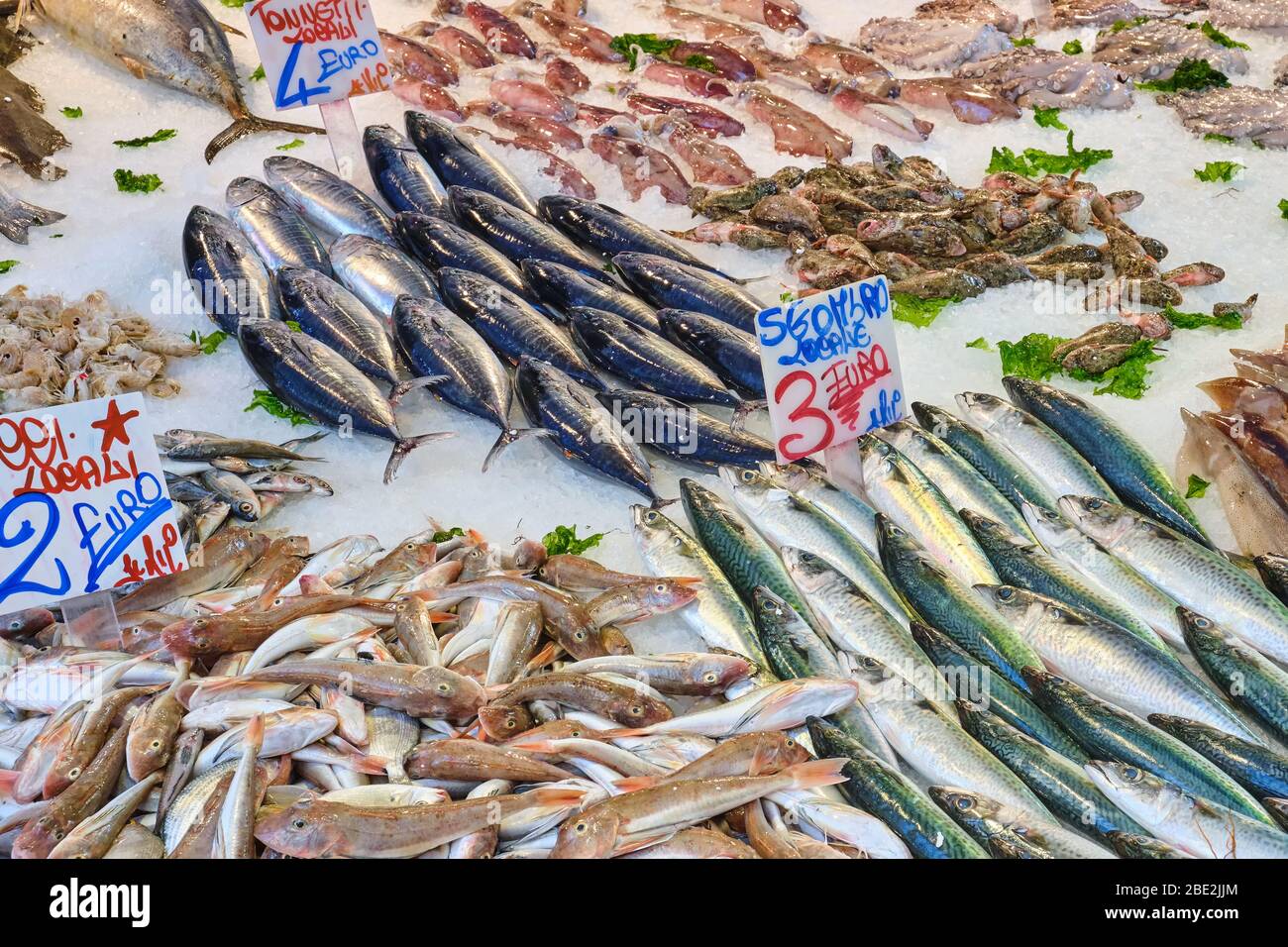 Fresh fish and seafood on display at a market Stock Photo - Alamy