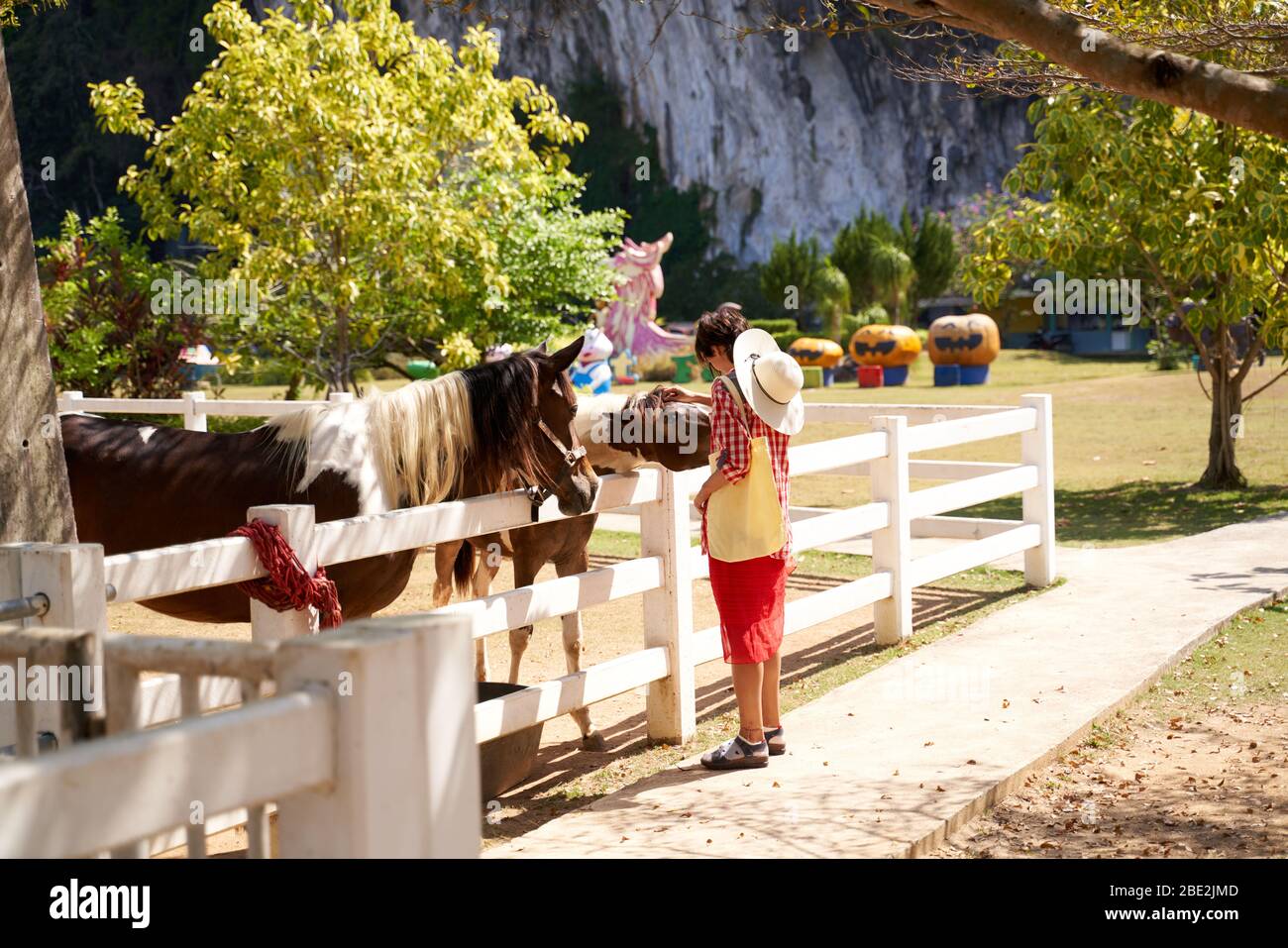 Girl feeds grass animals in zoo through fence tree Stock Photo - Alamy