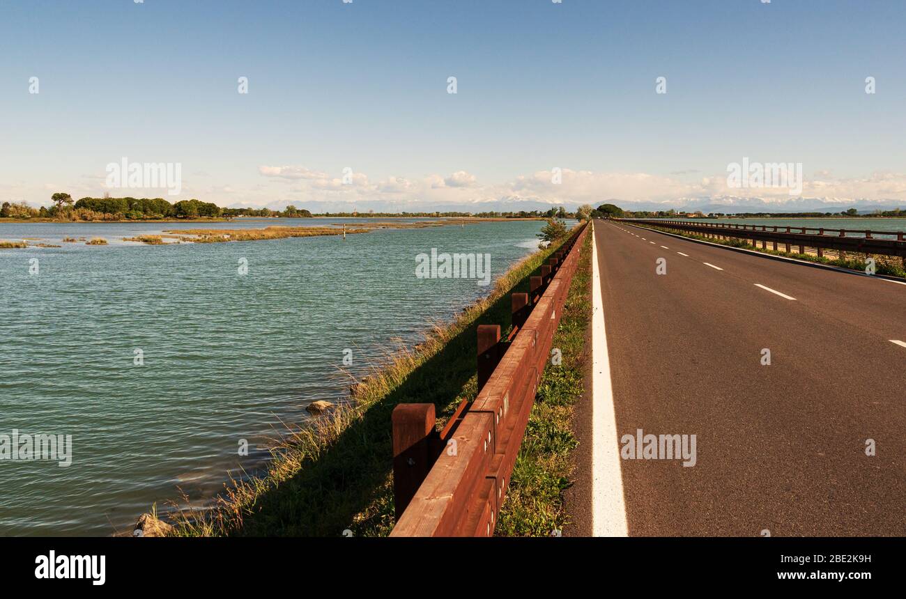 nature scenarios inside the Grado lagoon with plant reflections in ...