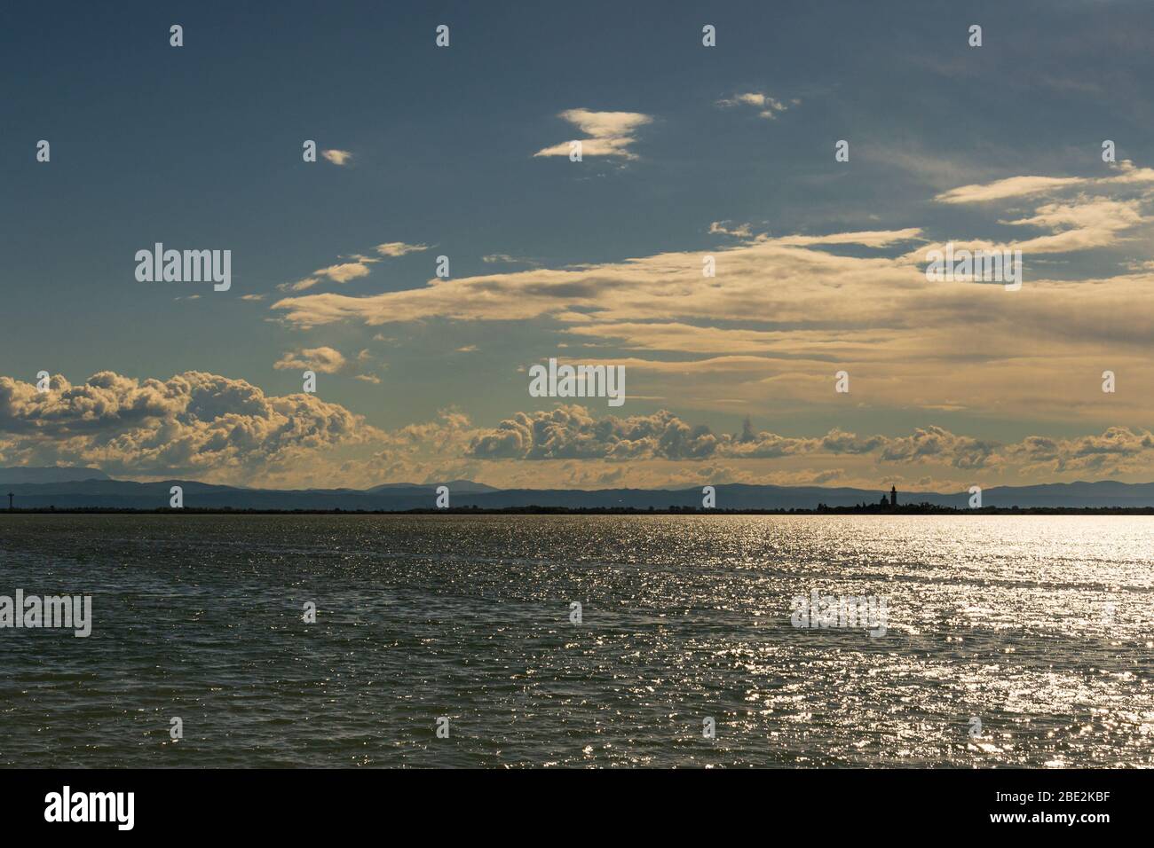 nature scenarios inside the Grado lagoon with plant reflections in ...