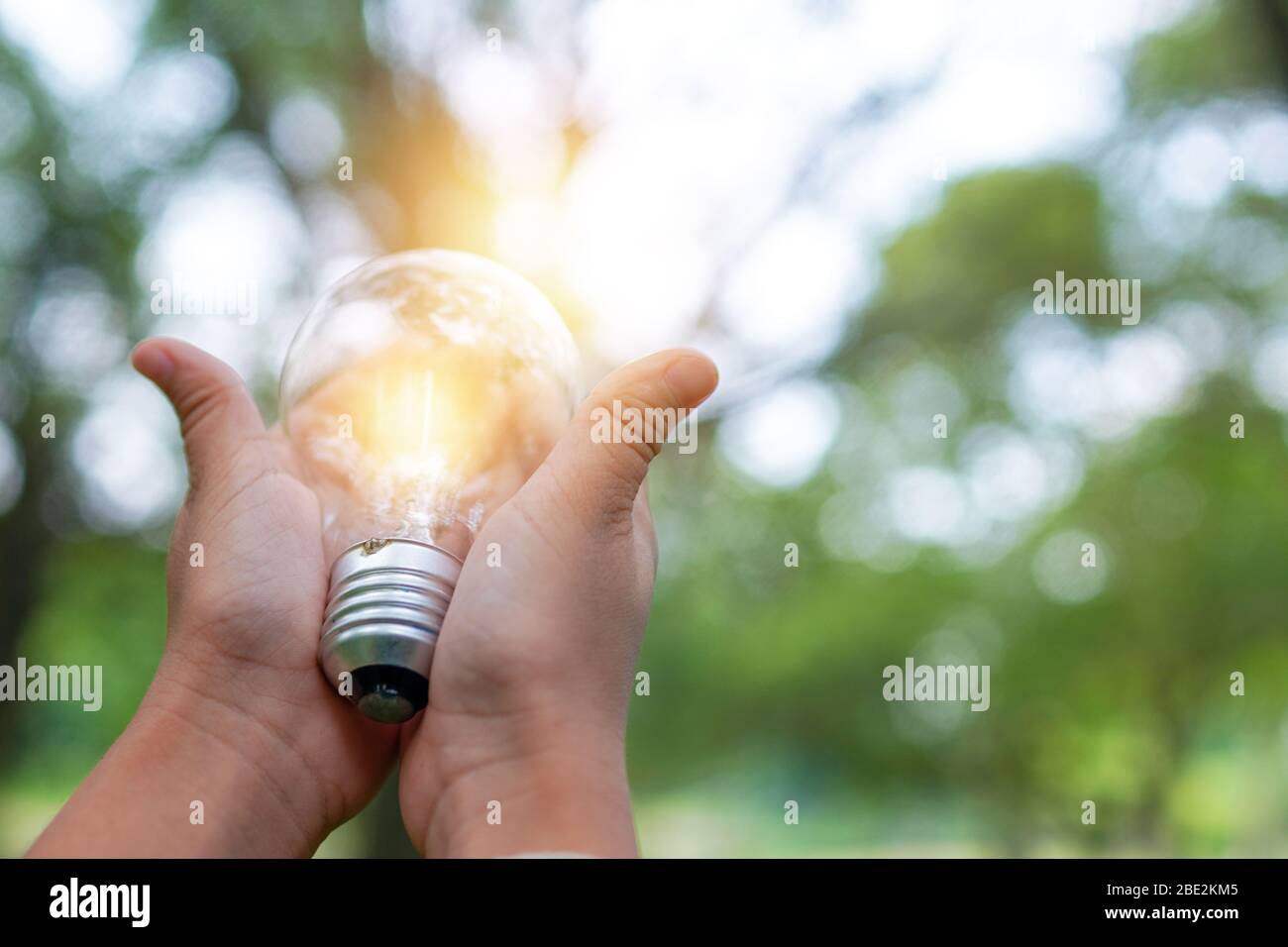 save power and good energy for nature, hand holding light bulb in park ...