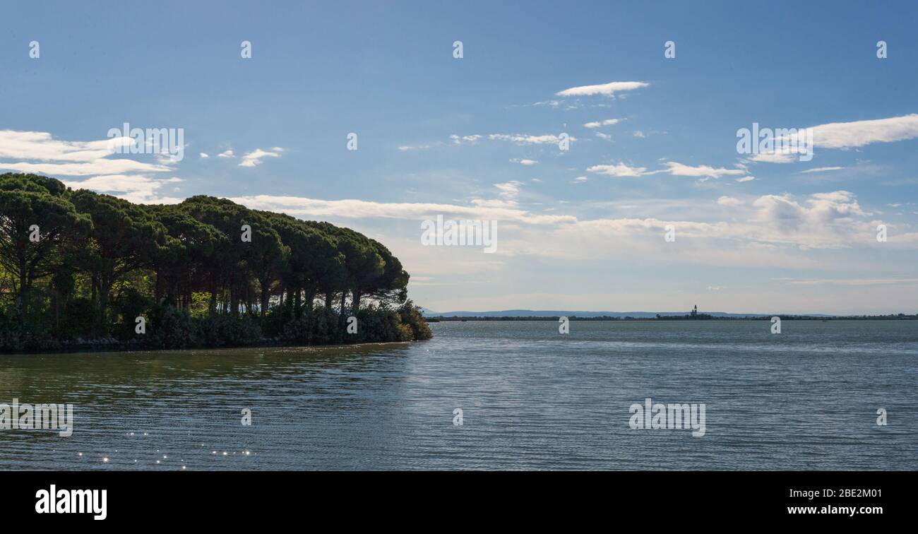 nature scenarios inside the Grado lagoon with plant reflections in ...