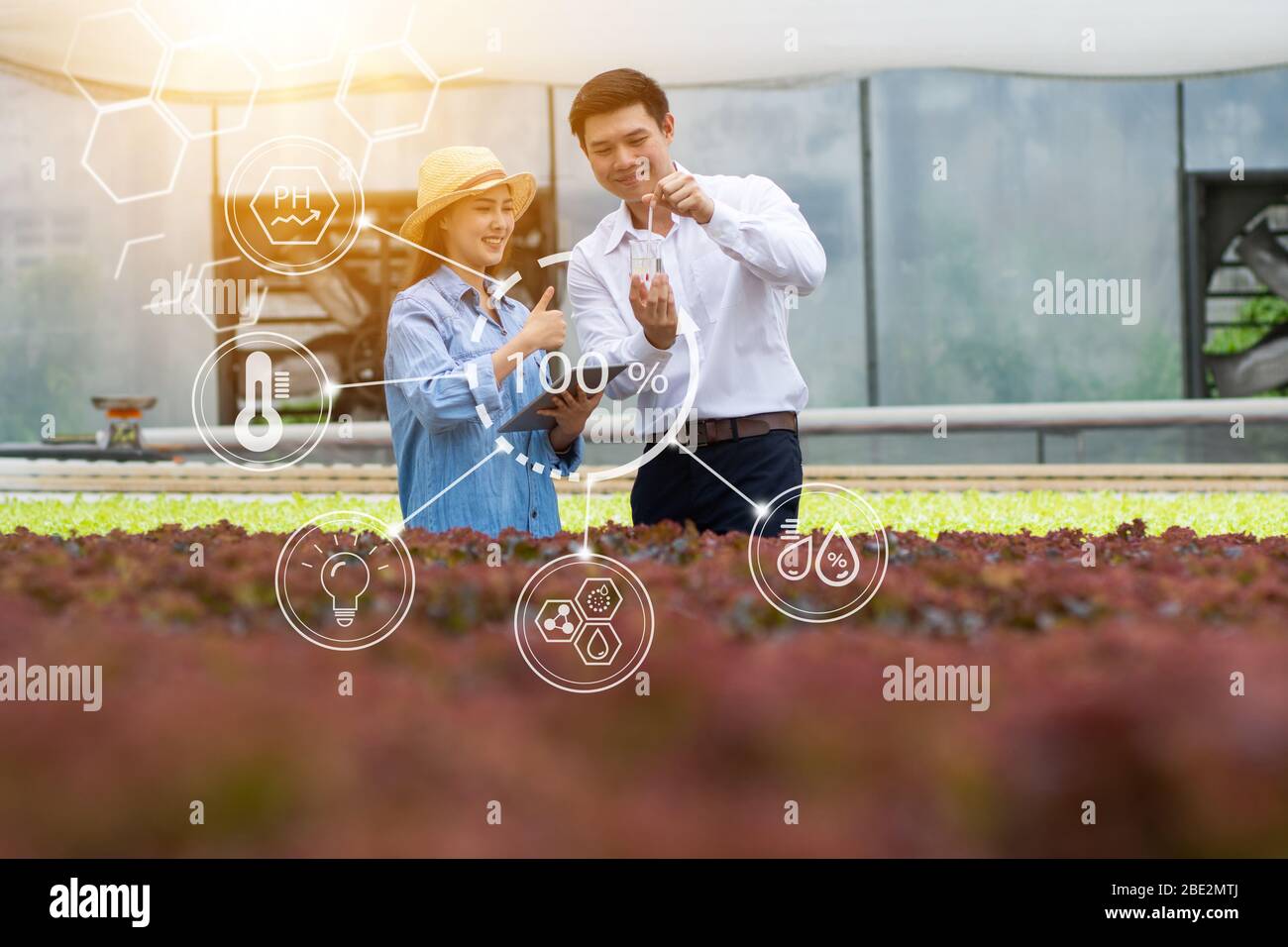 agricultural expert introduce woman hydroponic vegetable owner farmer ...