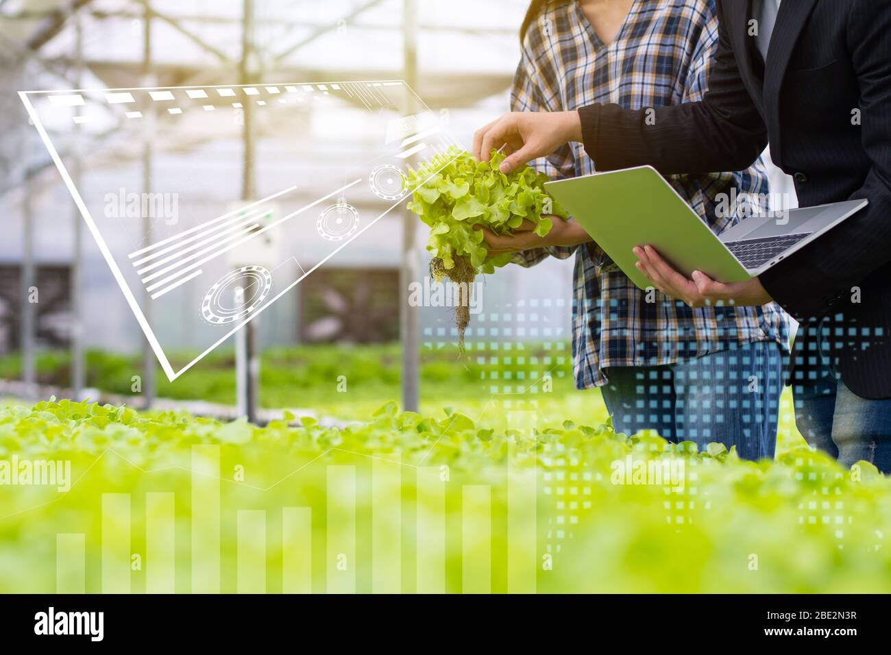 Hydroponic farm with technology, researcher, agricultural expert ...