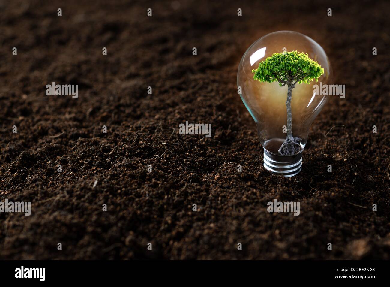 Save energy power and protect world by plant tree, sapling growing up ...