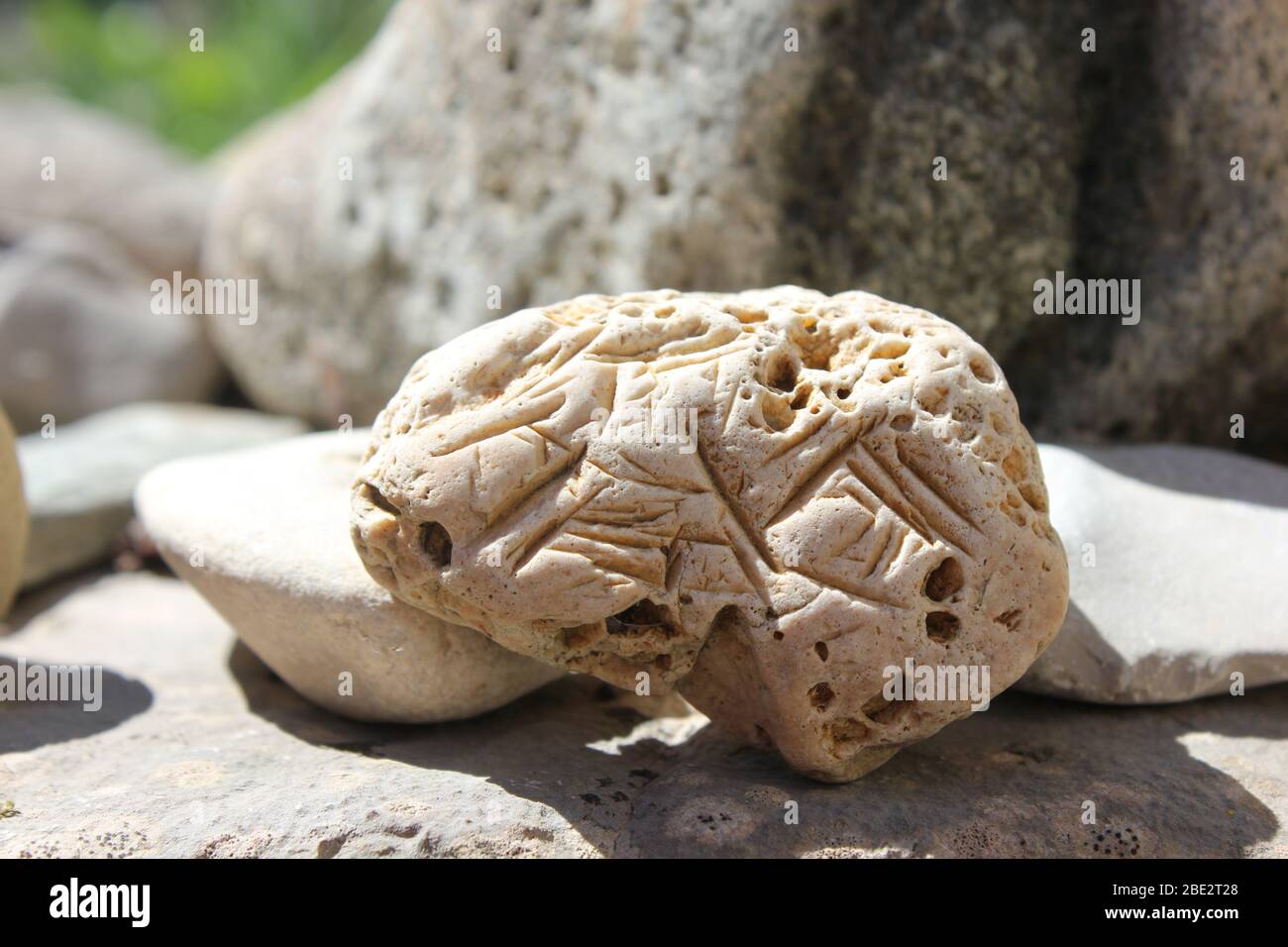 Hag stone, with markings Stock Photo - Alamy