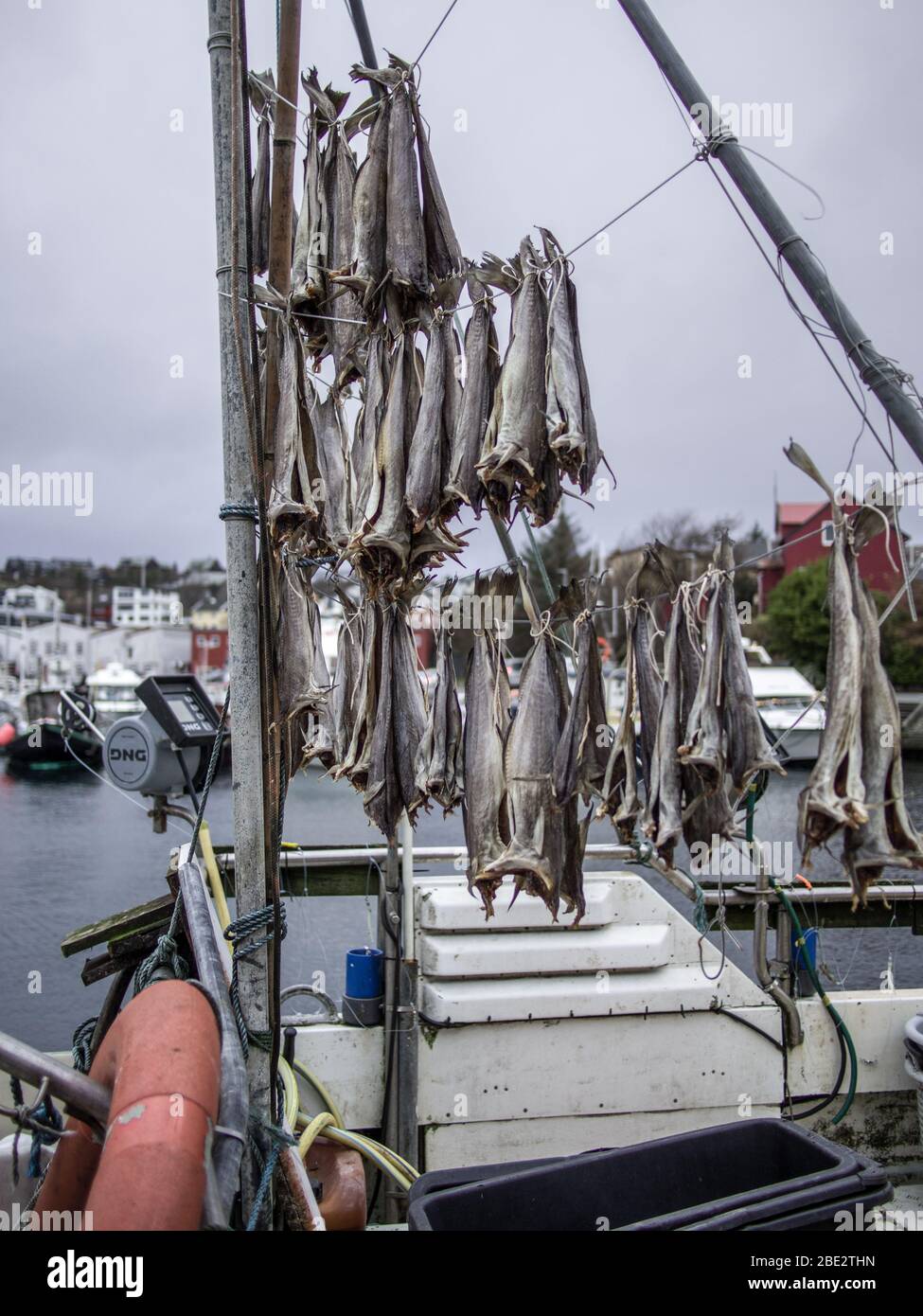 Food at the Faroe Islands Stock Photo - Alamy