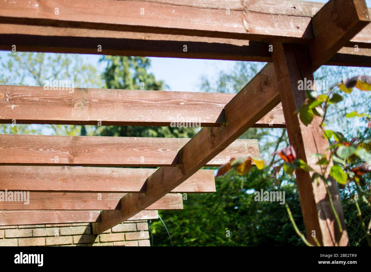 Pergola with trees on backdrop Stock Photo - Alamy