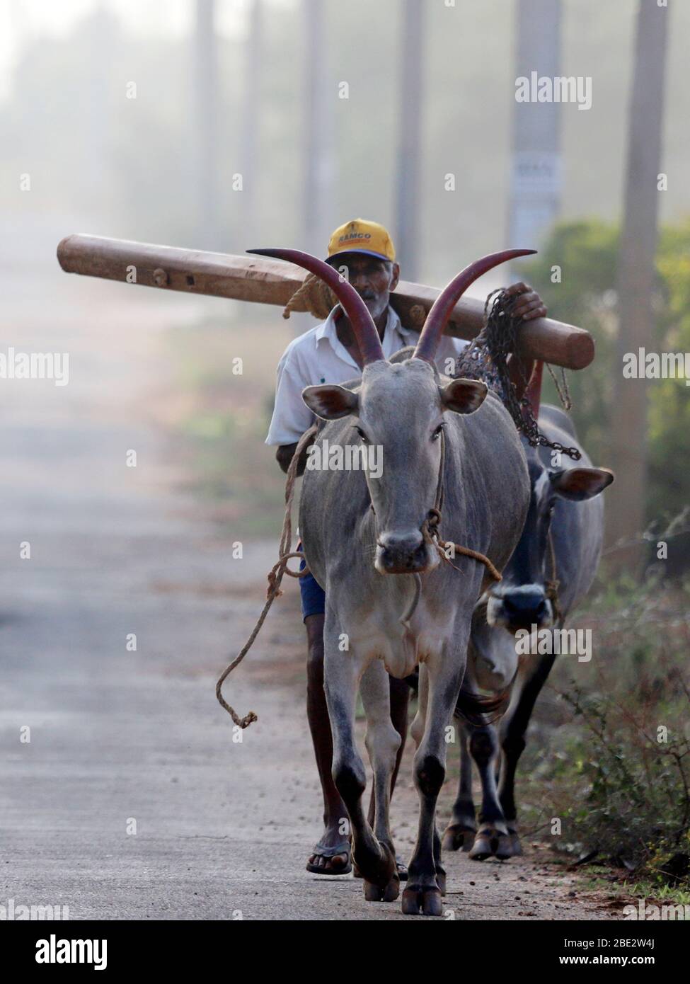 Bangalore rural hi-res stock photography and images - Alamy