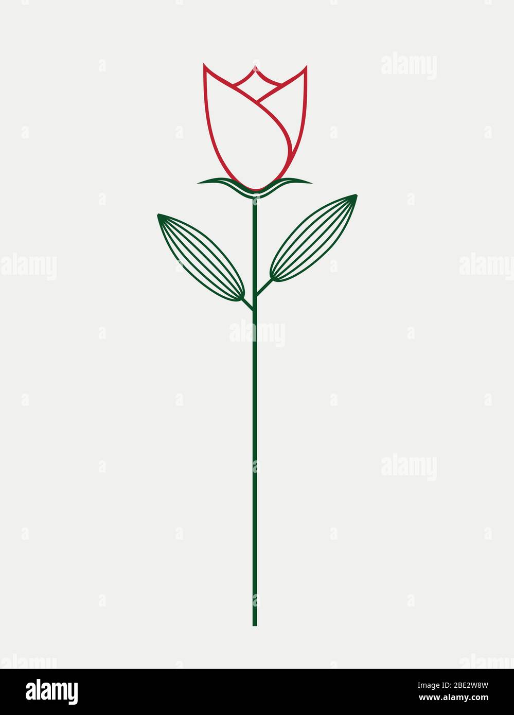 Detailed red rose, symbol for gift, wedding, love or friendship, vector ...