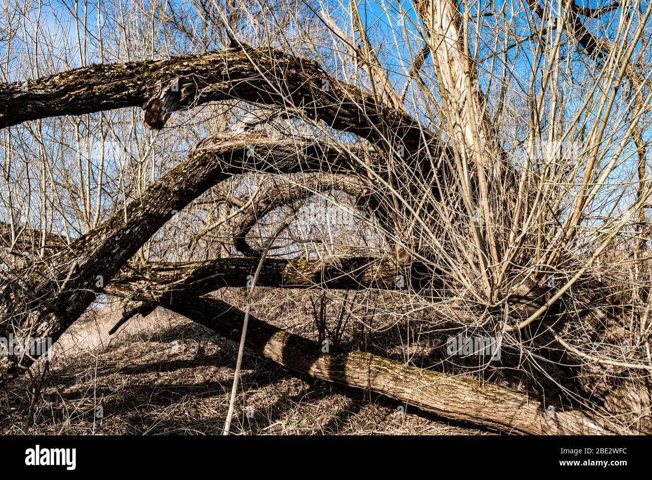 Half old half young hi-res stock photography and images - Alamy