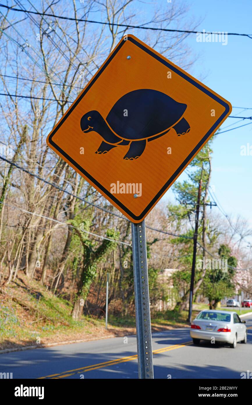 View of a yellow and black turtle crossing road sign in New Jersey ...
