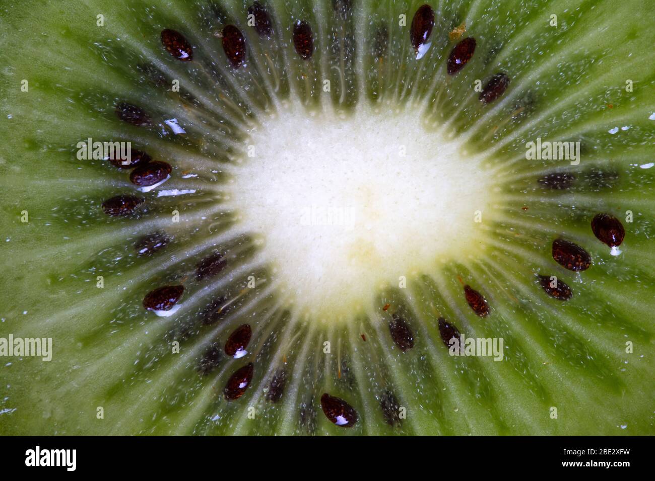 a fantastic still-life studio detail close up photo of a fresh ...