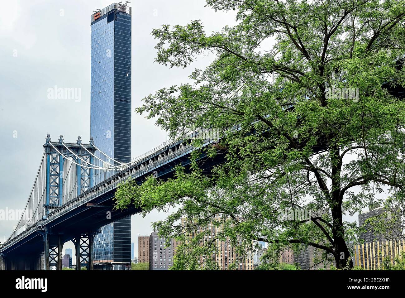 Leon new york hi-res stock photography and images - Alamy