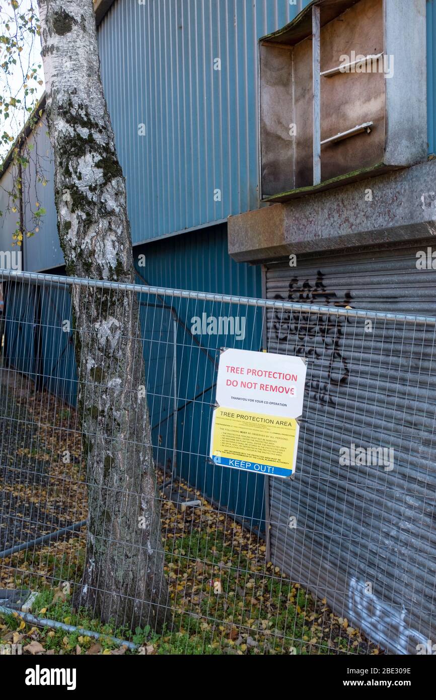 Protected tree hi-res stock photography and images - Alamy