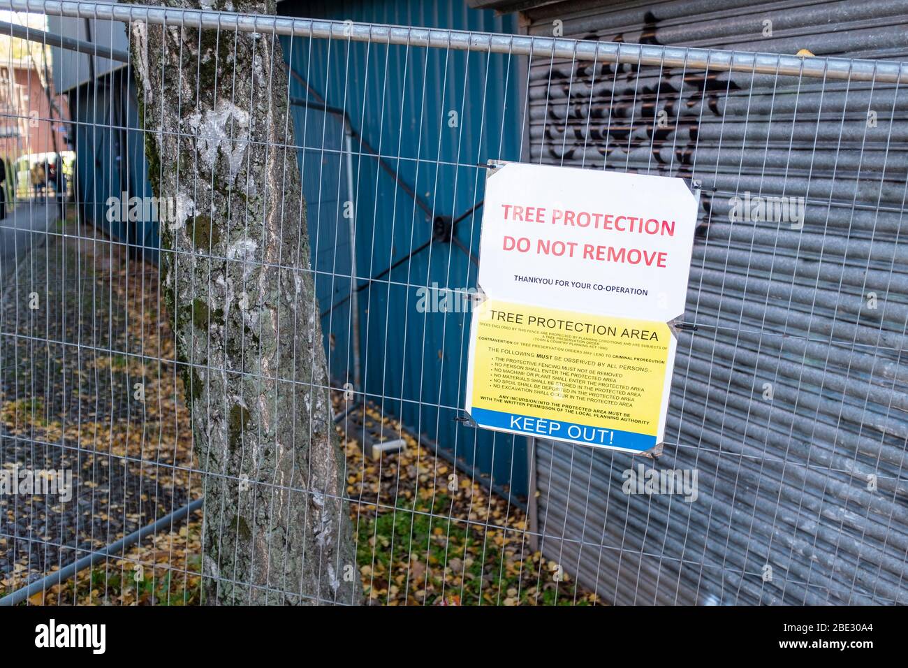 Protected tree hi-res stock photography and images - Alamy