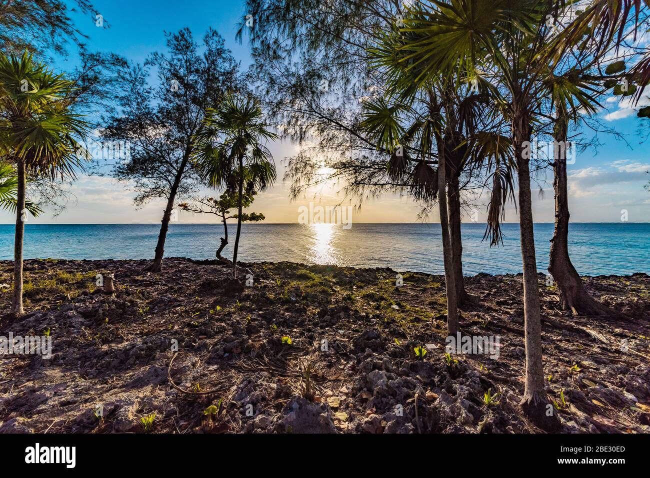 Pig bay hi-res stock photography and images - Alamy