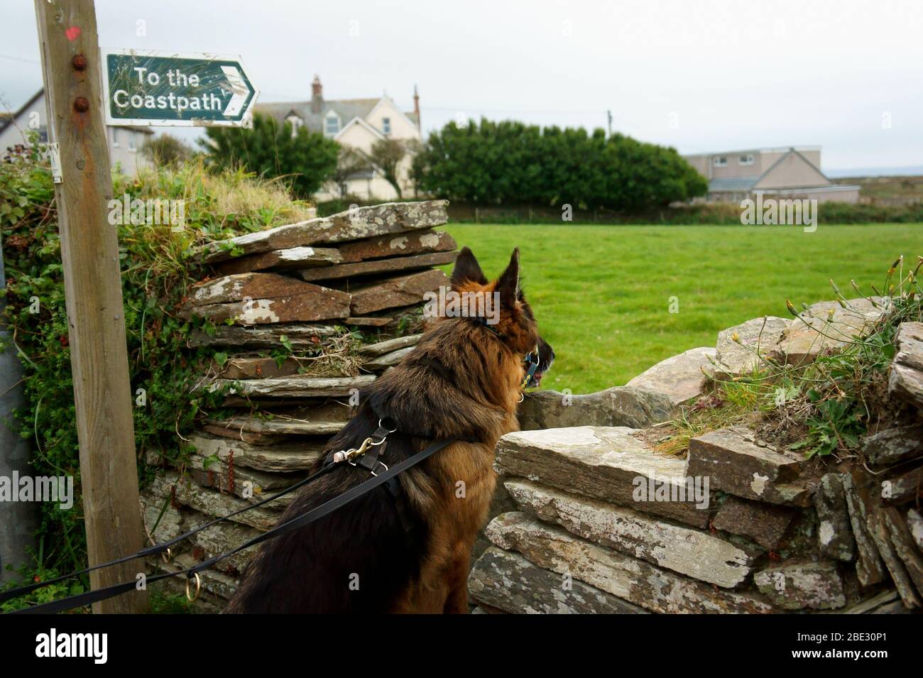 Coastpath Sign at Treknow, Tintagel, North Cornwall Stock Photo - Alamy
