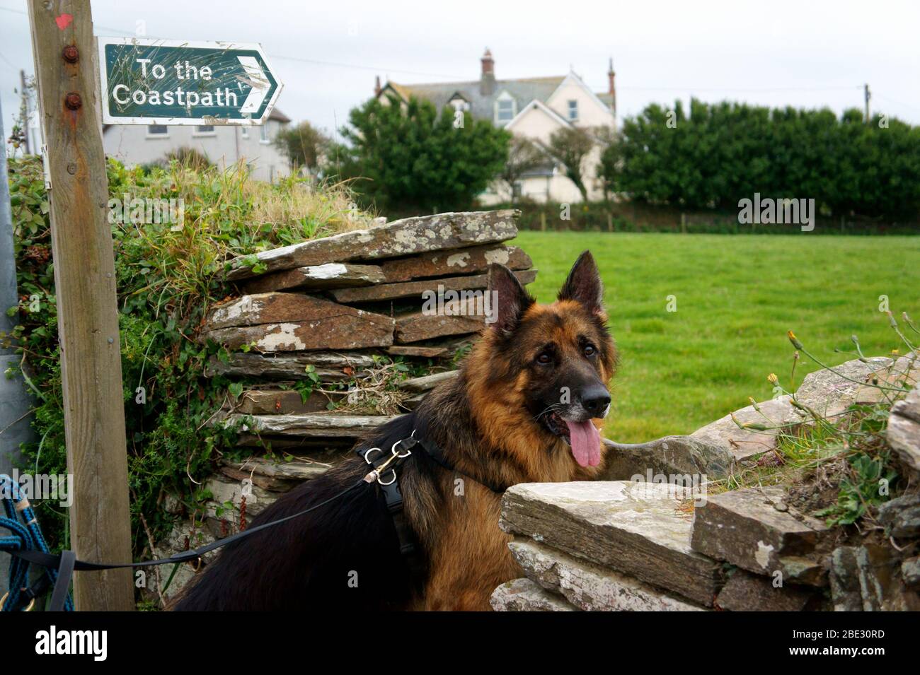 Coastpath Sign at Treknow, Tintagel, North Cornwall Stock Photo - Alamy