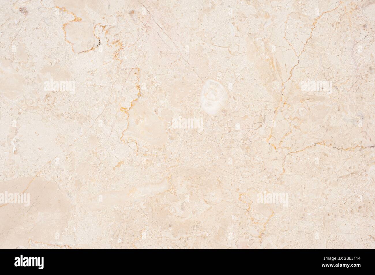 White marble natural stone slice flat texture background Stock Photo ...