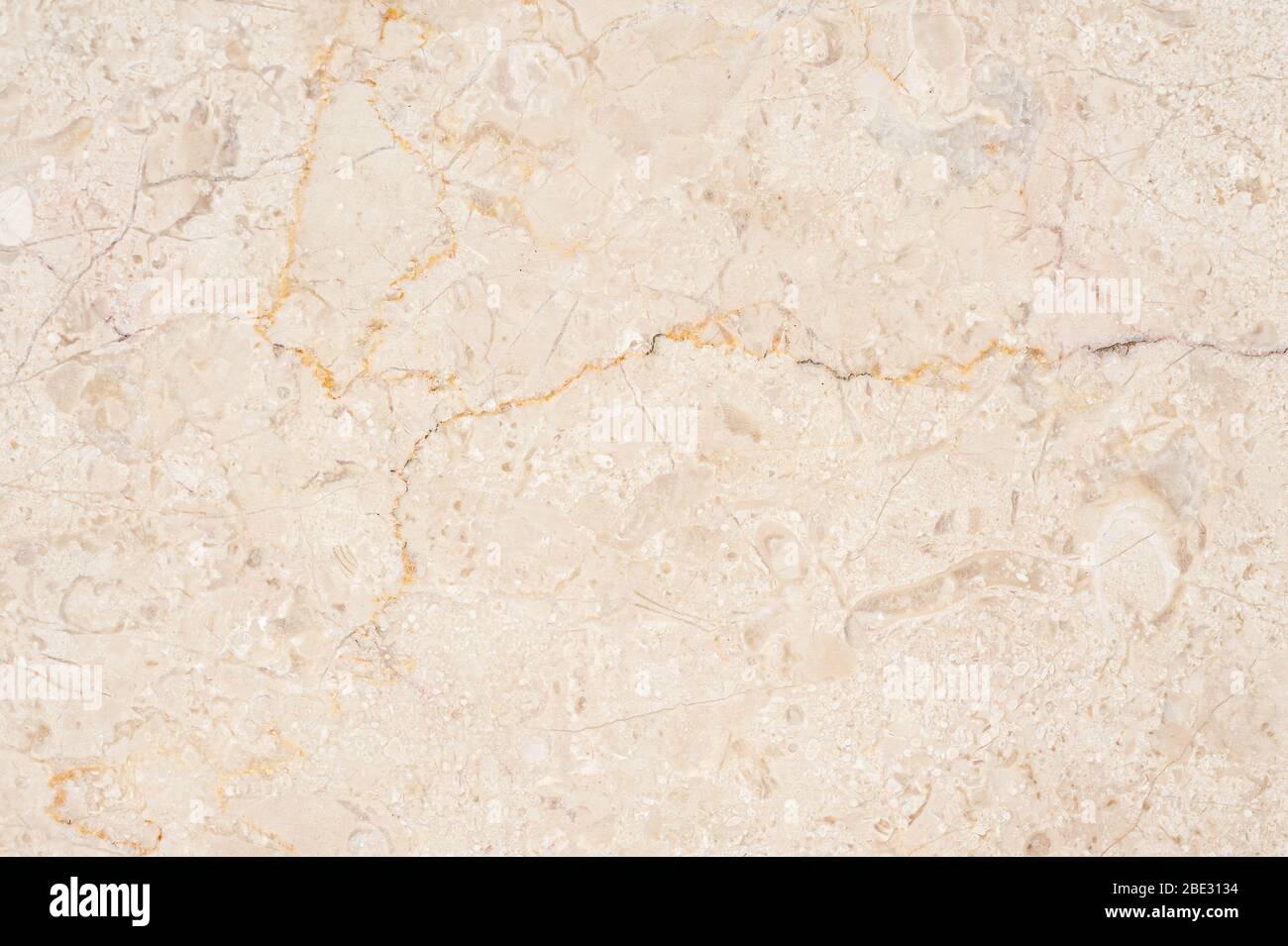 White marble natural stone slice flat texture background Stock Photo ...