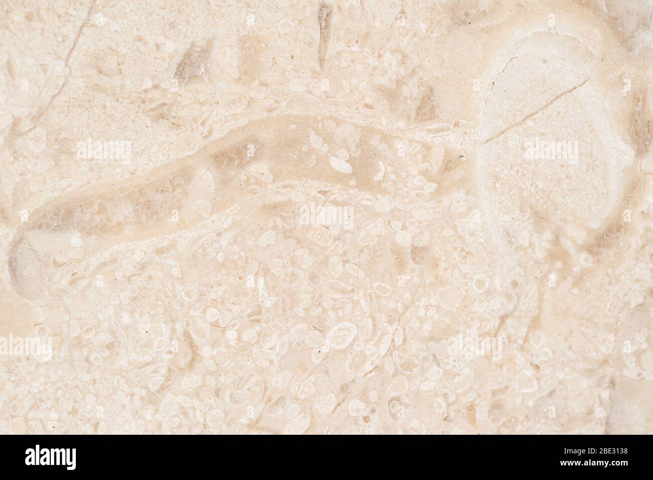 White marble natural stone slice flat texture background Stock Photo ...