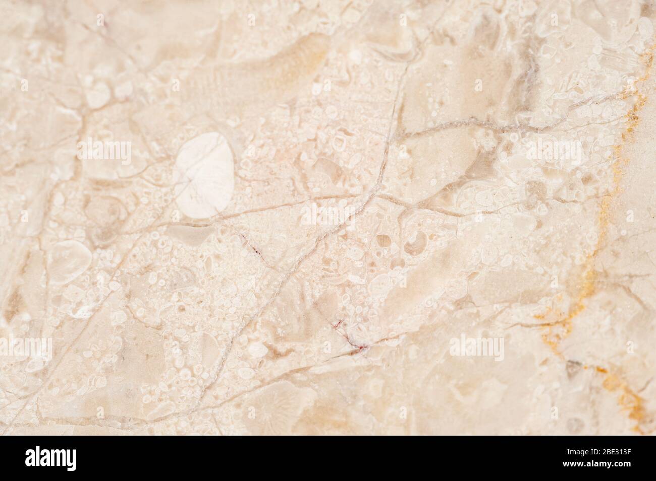 White marble natural stone slice flat texture background Stock Photo ...