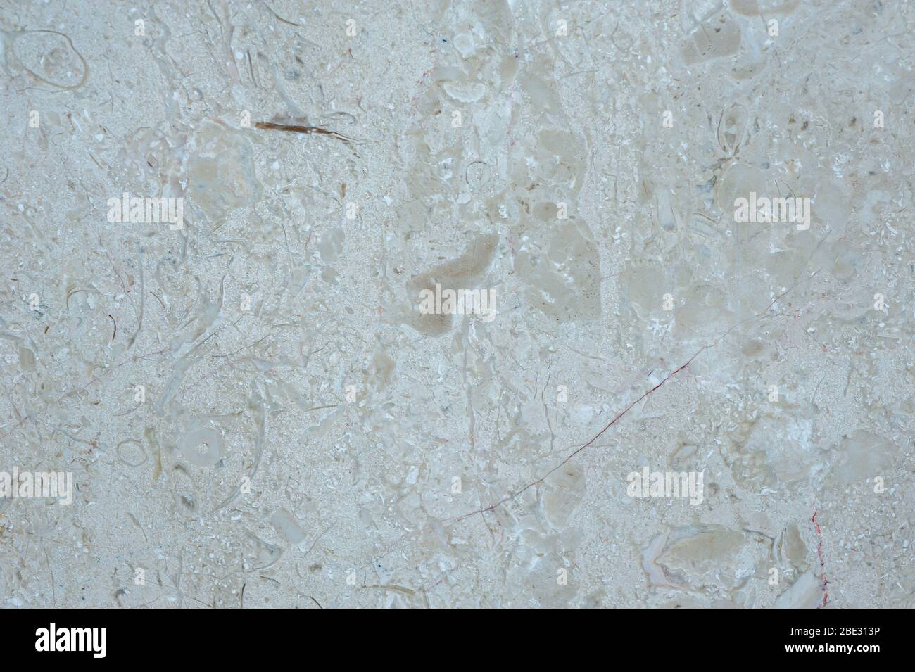White marble natural stone slice flat texture background Stock Photo ...