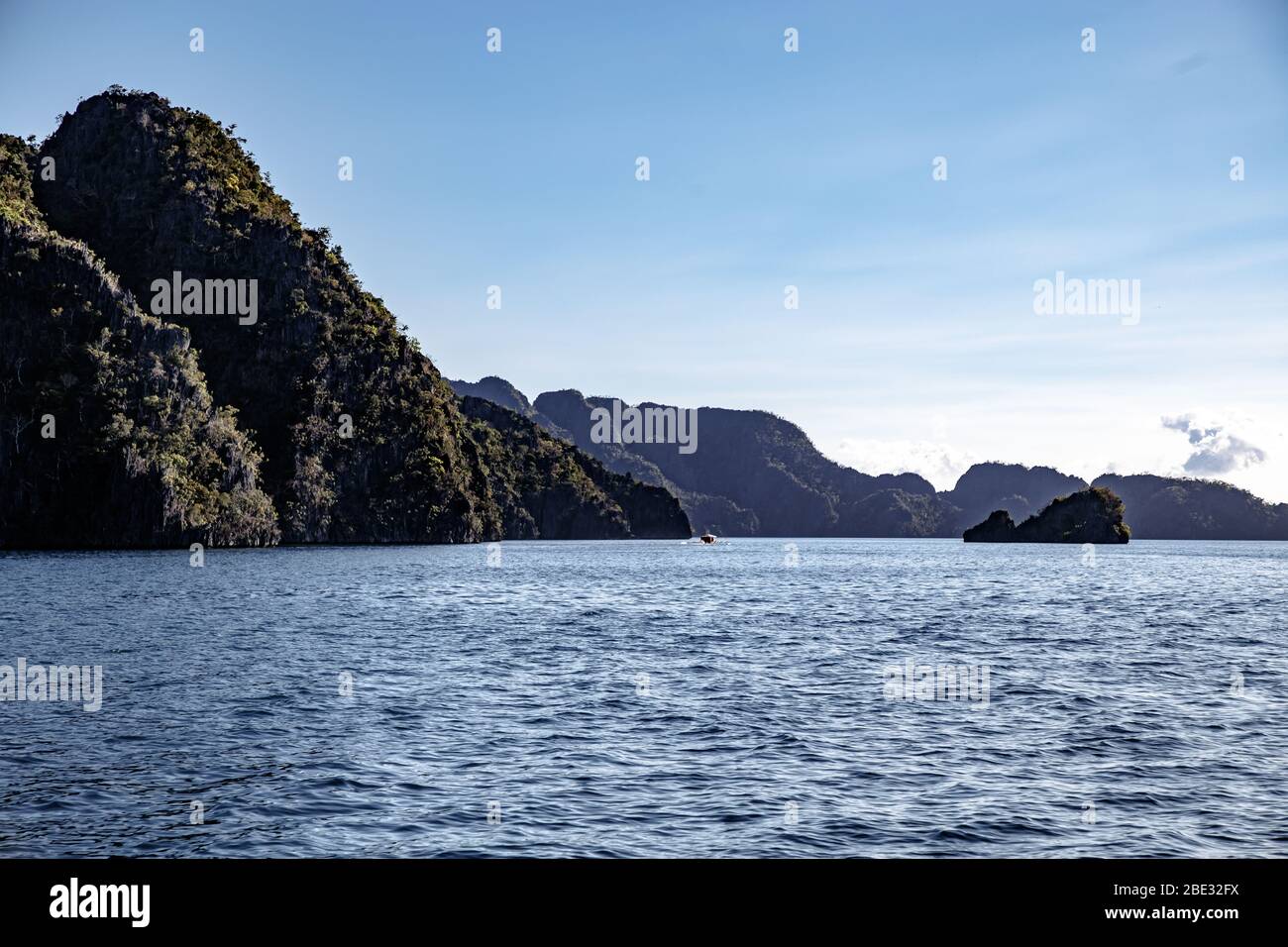 Sea coron hi-res stock photography and images - Alamy