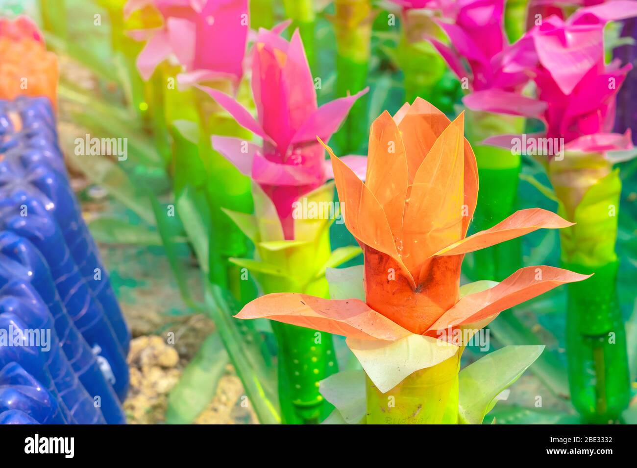 Recycled colorful plastic flowers made from plastic bottles to decorate ...