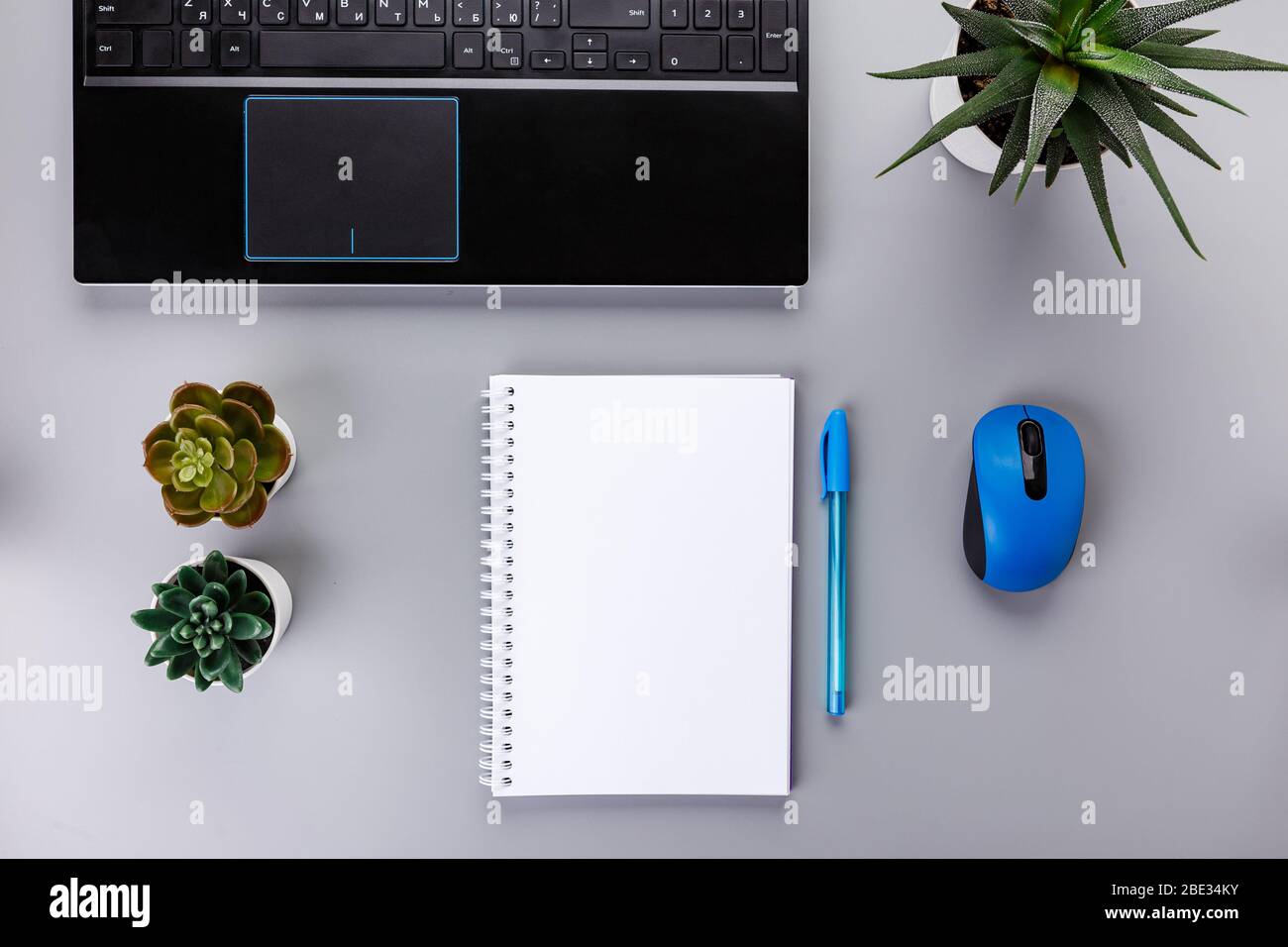 Workplace with laptop, notebook, pens and succulents on a gray ...